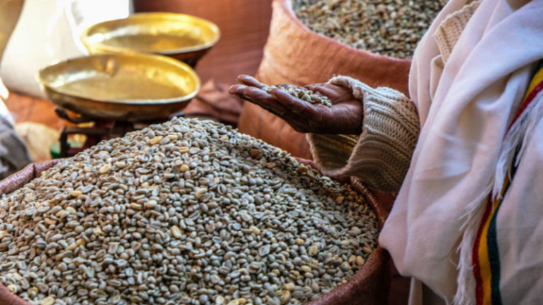 A Beginner's Guide to African Coffee Varieties and Flavors | VinePair