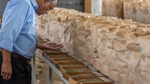 A Beginner's Guide to African Coffee Varieties and Flavors | VinePair