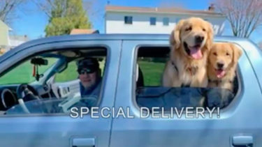 Meet the Two Dogs Delivering Beer and Smiles for This Long Island Craft ...