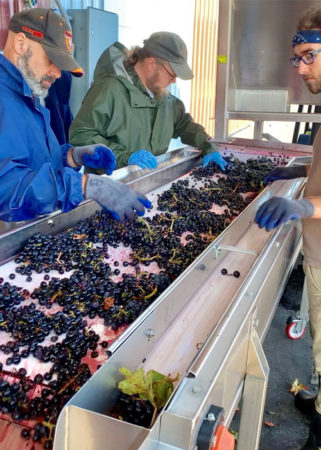 Why Winemakers Are Using Flash Pasteurization (for Non-Kosher Wines ...