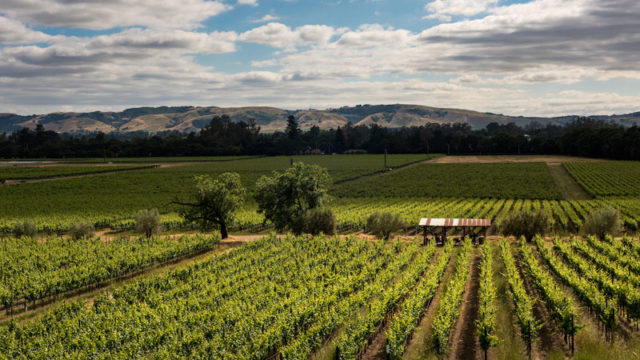 As the Climate Changes, California Winemakers Seek Cooler Sites for ...