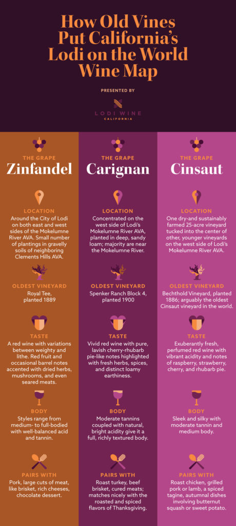 How Old Vines Put California’s Lodi on the World Wine Map [INFOGRAPHIC ...