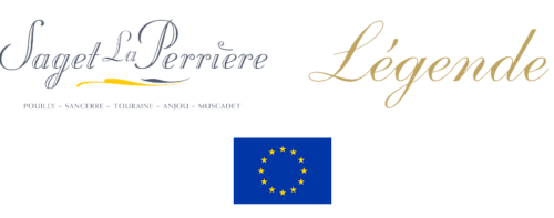 Become a French Wine Expert Program Wrap-Up | VinePair