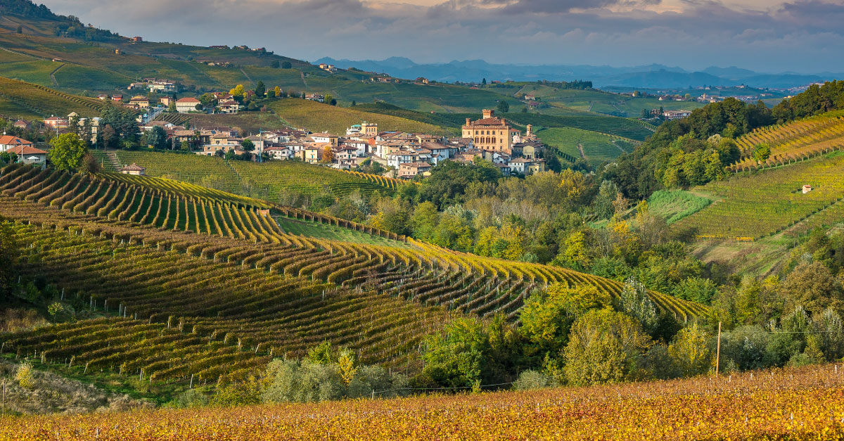 Wine 101: Barolo and Barbaresco | VinePair