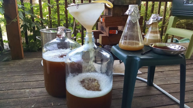 How to Homebrew Raw Ale | VinePair