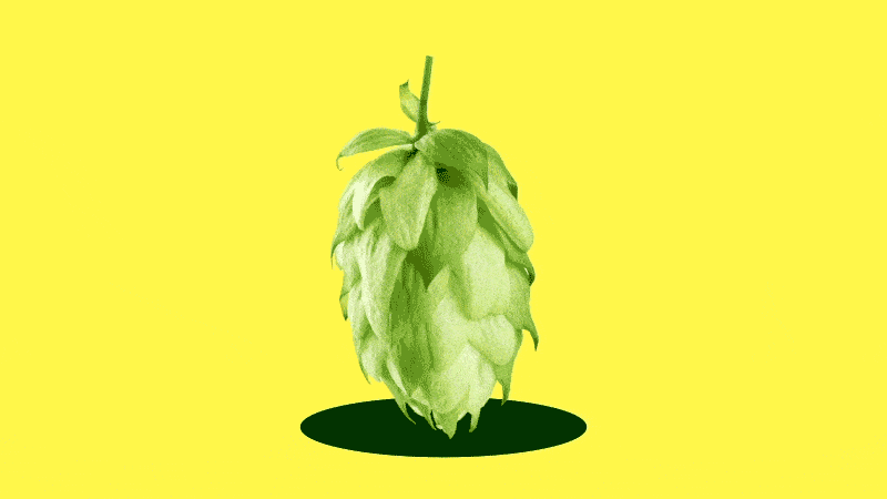 14 of the Best Double IPAs (2021) | Best Imperial IPA Beers