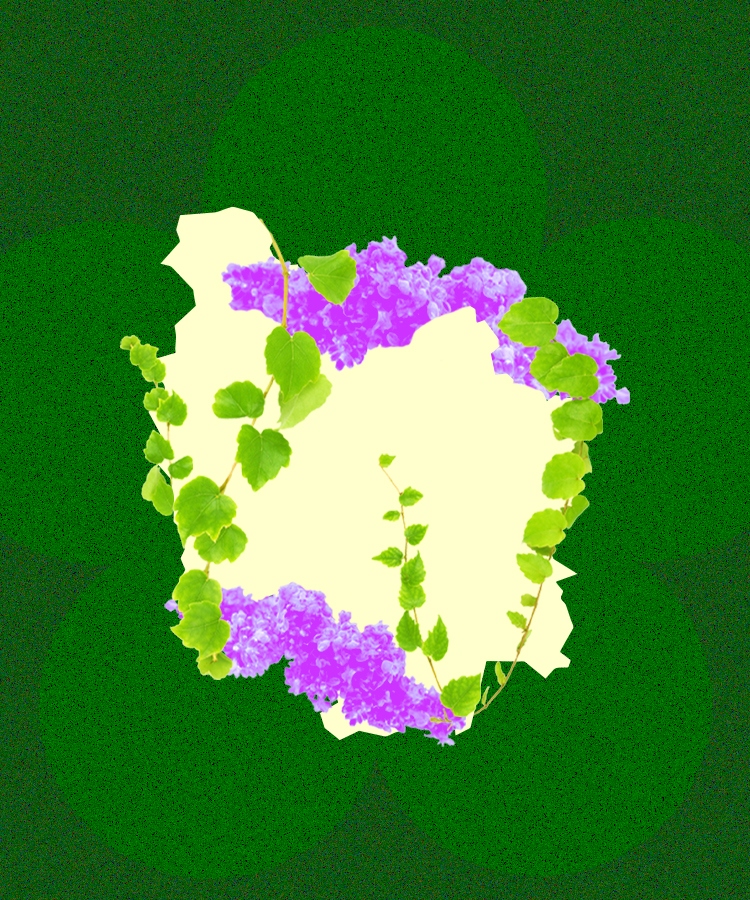 VP Pro - Wine | VinePair