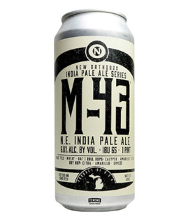 14 of the Best IPAs for Beginners According To Pro Brewers