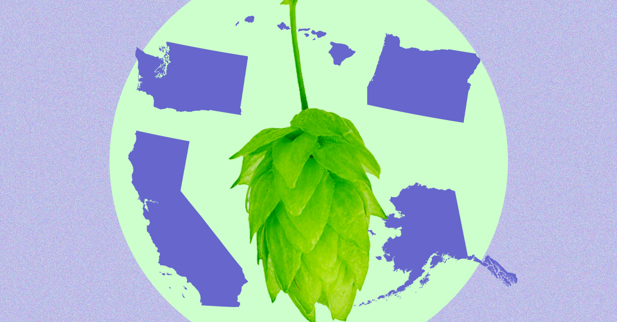 Charted: The Most Popular American Grown Hops Over the Last Half Decade ...