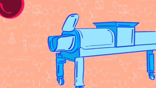 Carbonic Maceration Vs. Anaerobic Fermentation Explained