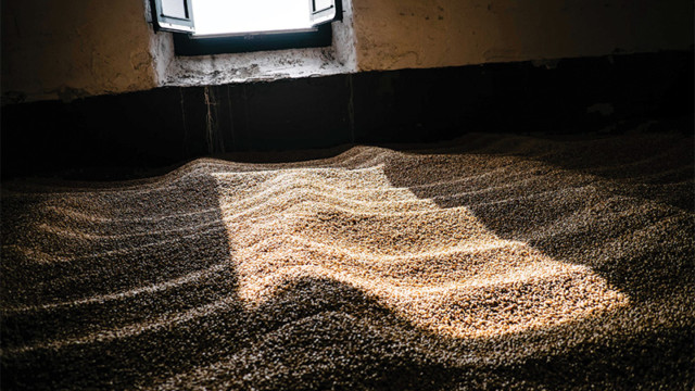 For Some Whiskey Distilleries, Malting Is an Ancient Process Worth the ...