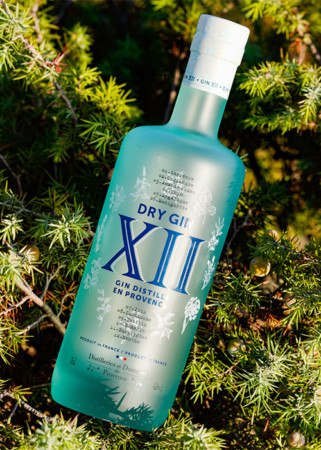 Is Gin the Newest Expression of Terroir? | VinePair