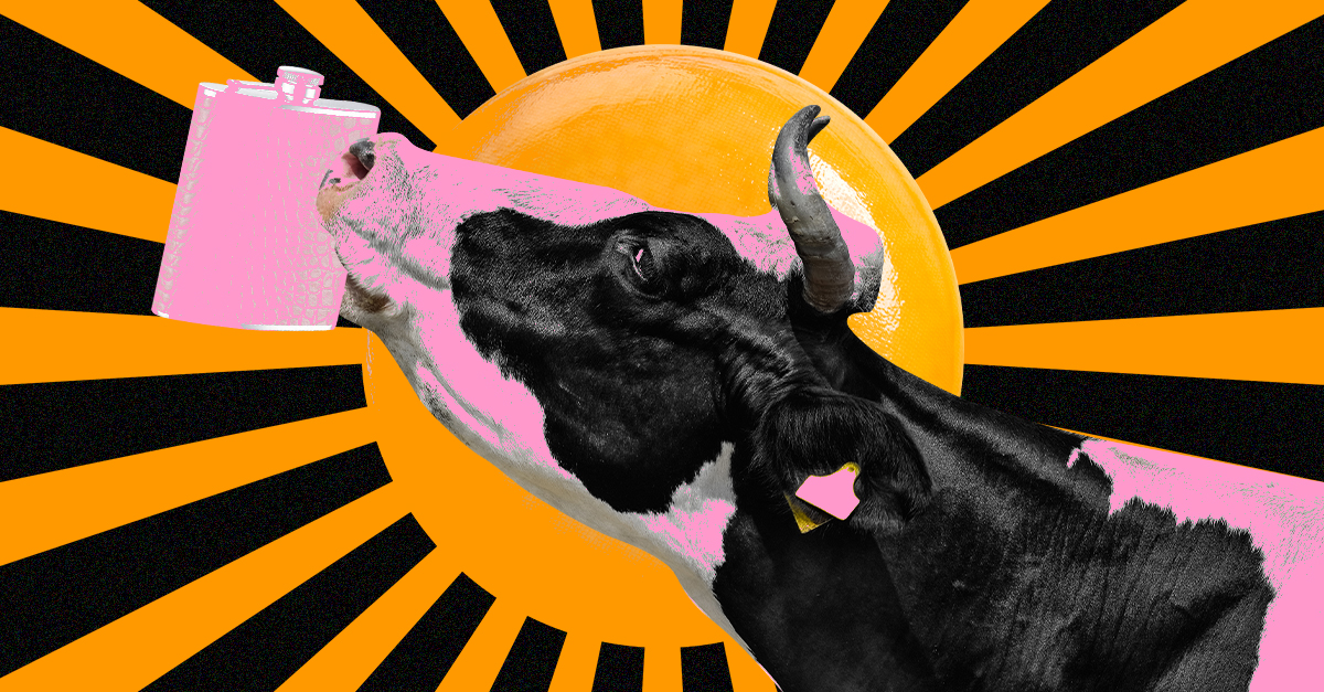 How Booze Is Used in the Making of Cheese | VinePair