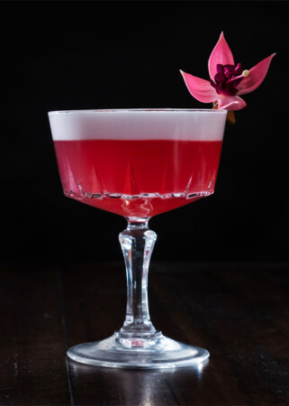8 of the Best Hibiscus Cocktails | VinePair