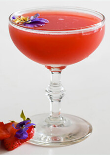 11 of the Best Shaken Cocktails for Summer | VinePair