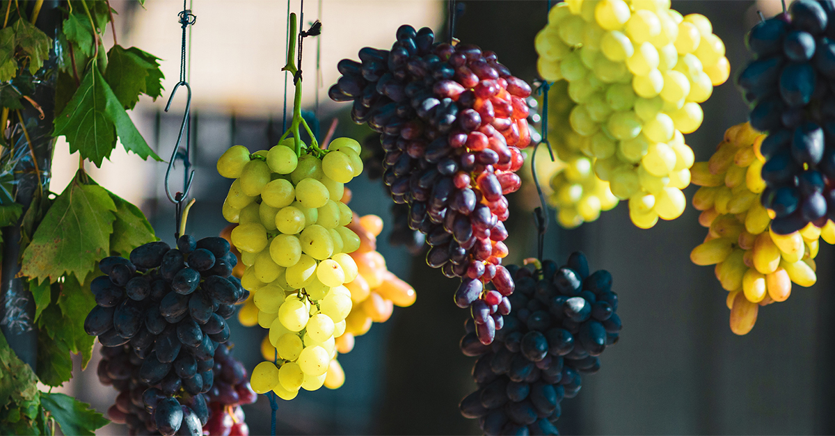 A Visual Guide to Wine's 'Celebrity Couple' Grapes [Infographic] | VinePair