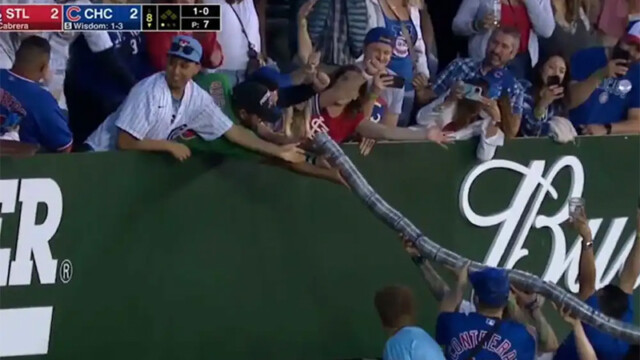 The Beer Cup Snake: Tipsy Camaraderie or Viral-Era Vanity? | VinePair