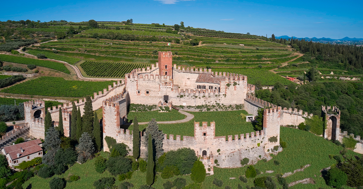 Wine 101: Italy Region Deep Dives: Soave | VinePair