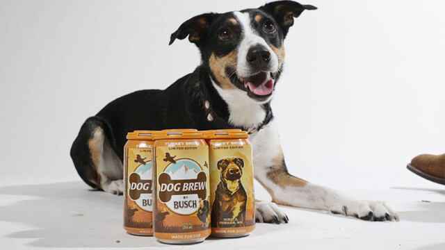 Beer For Dogs, Wine For Cats: How Drinks for Pets Became a Global ...