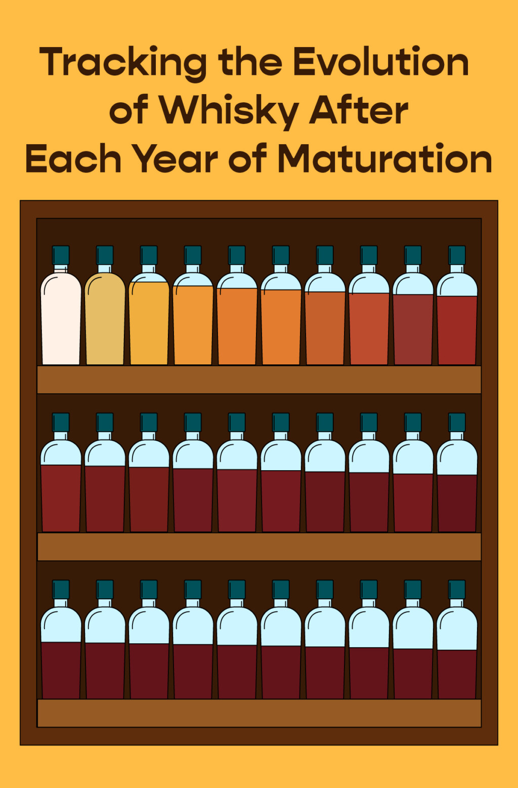 A Visual Guide to Whiskey Maturation | VinePair