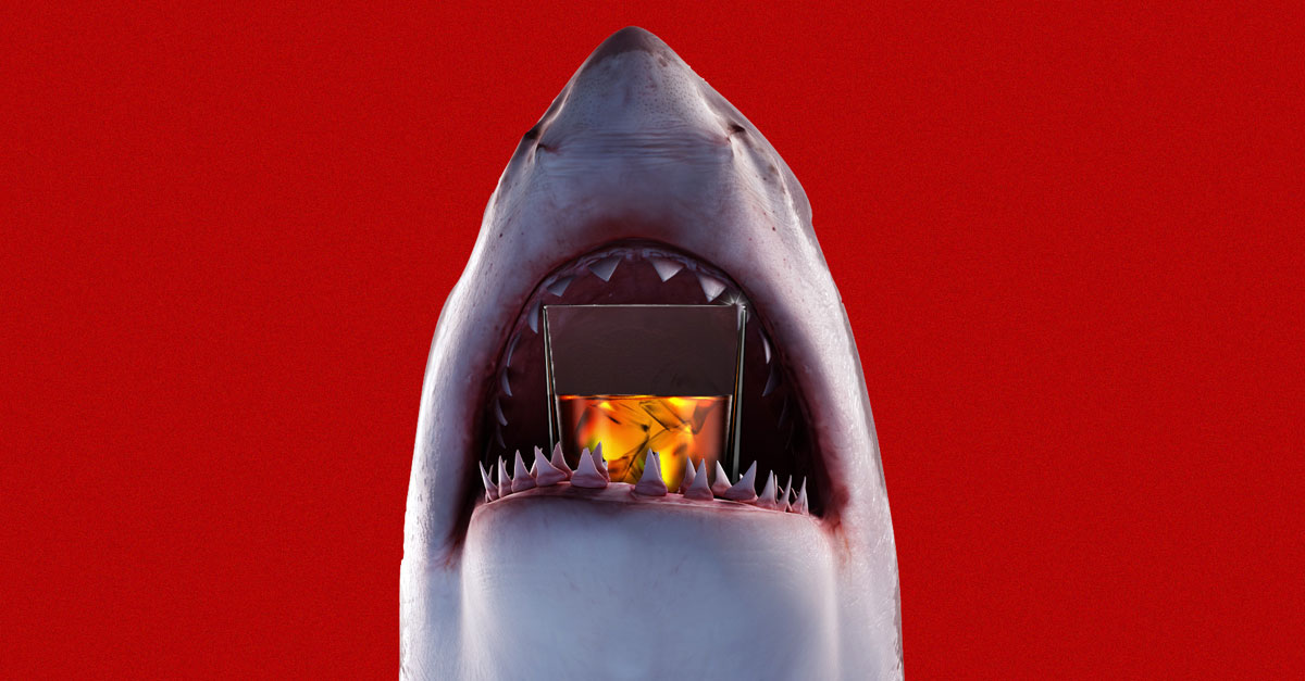 Beer, Wine, and Apricot Brandy: The Blue-Collar Booze of ‘Jaws’ | VinePair