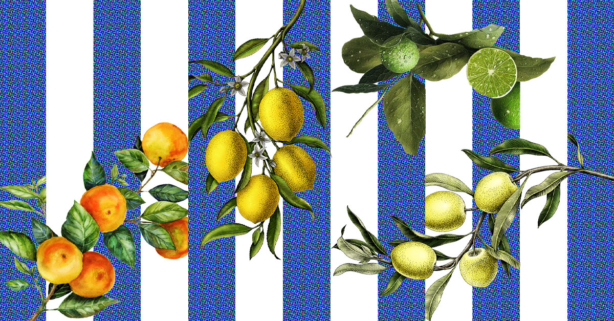 Will It Cello? The Best Citrus to Make Liqueurs With Beyond Lemons ...