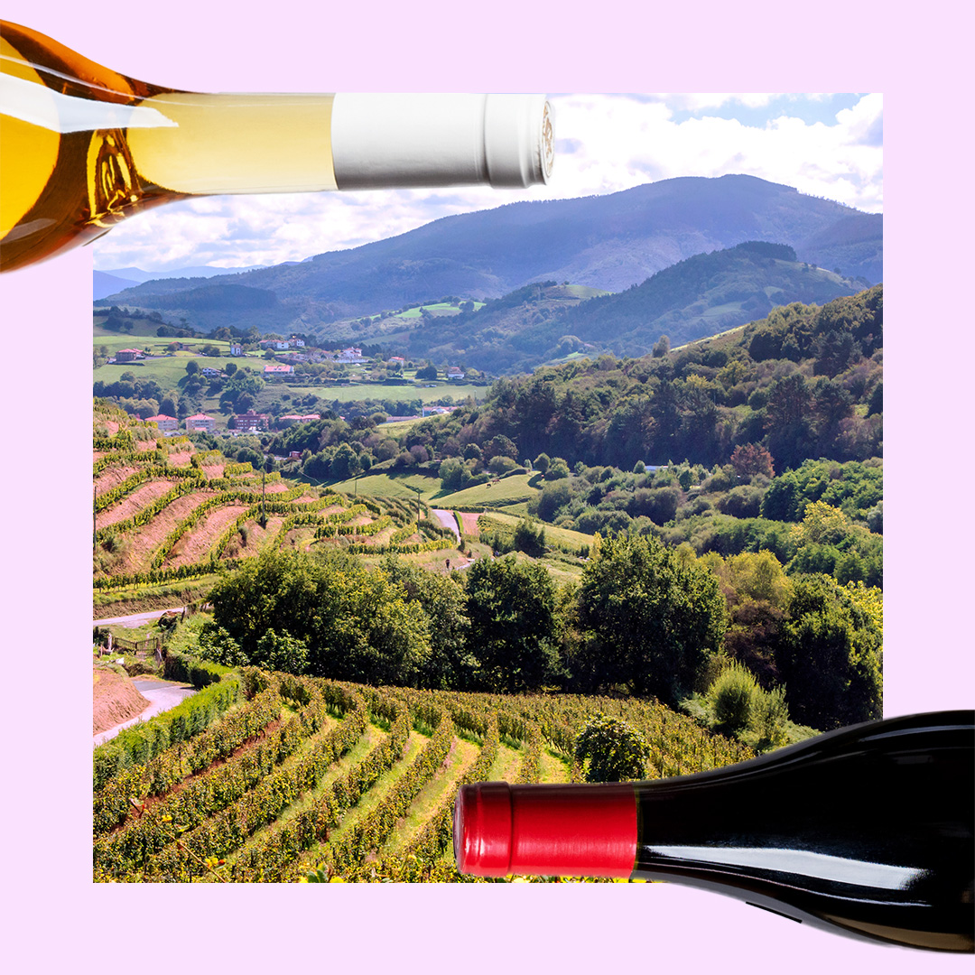 4 of the Best White Wines from Rioja | VinePair