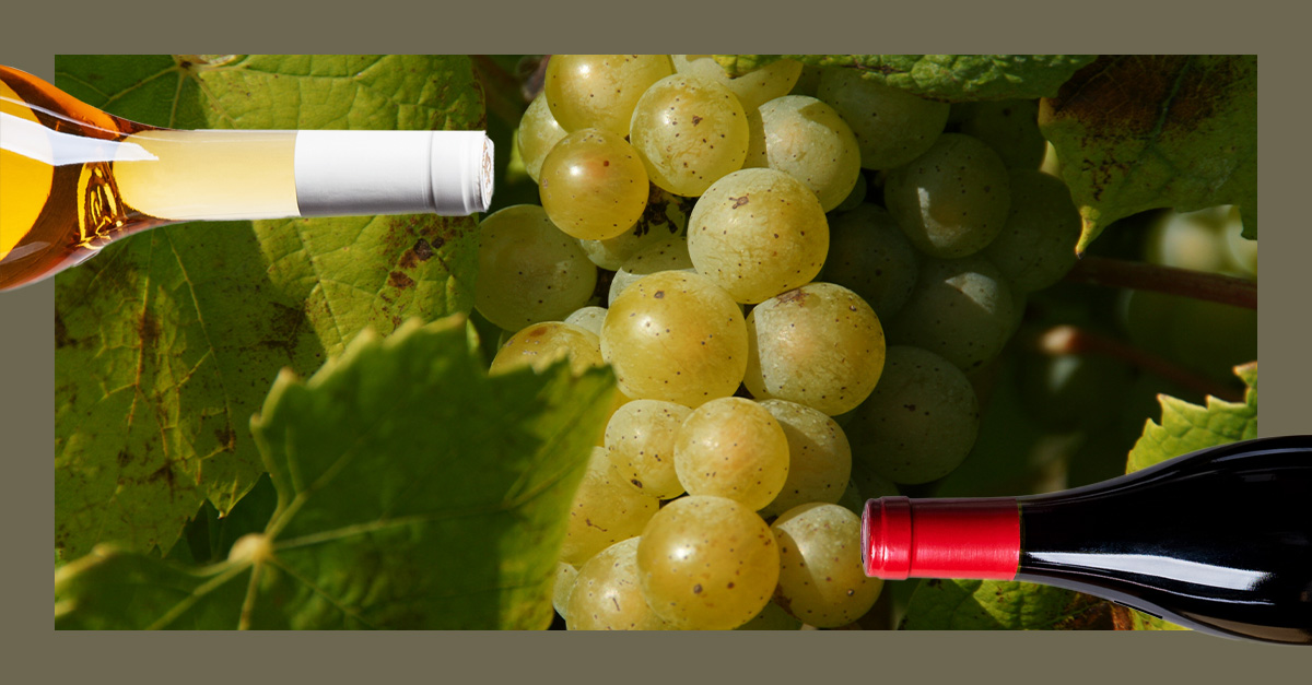 6 of the Best Muscadets From the Loire Valley | VinePair