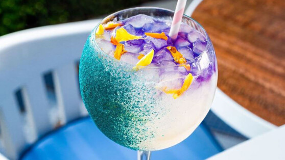 Tingly Tongues, Music, and Scents: Behind the Rise of Multisensory ...