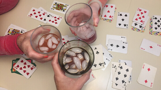 10 of the Best Drinking Games to Play With a Deck of Cards | VinePair