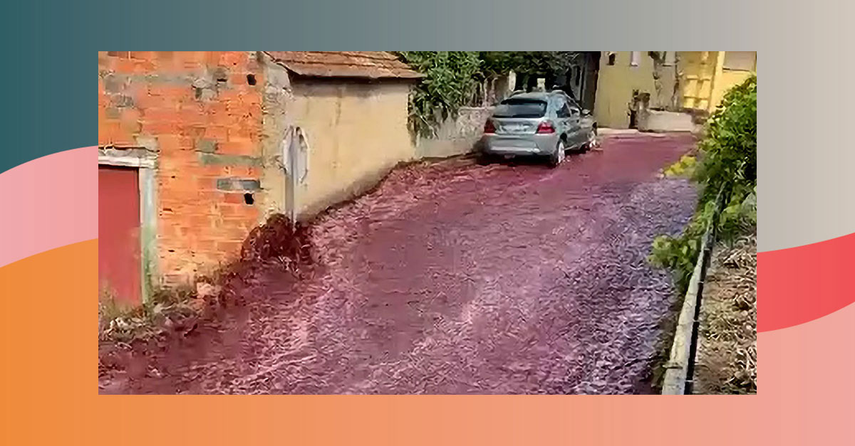 2.2 Million Liters of Red Wine Just Flooded a Portuguese Town | VinePair