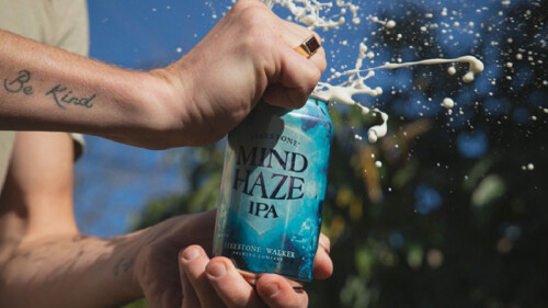 The Hottest New Hop Combinations for IPAs | VinePair