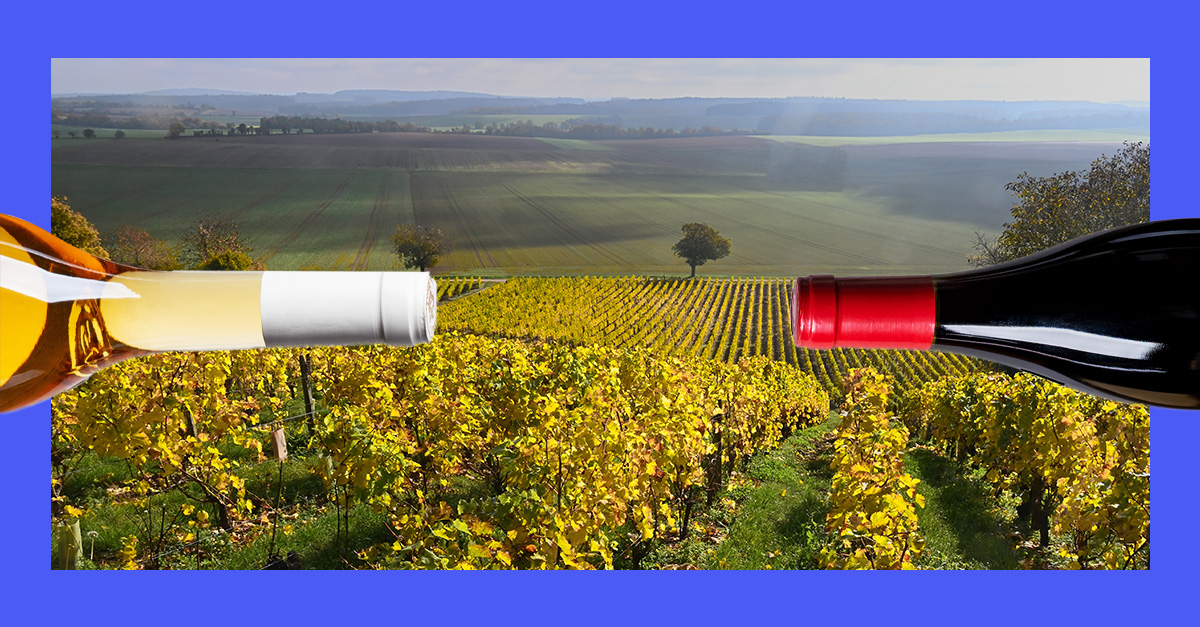 8 of the Best Pinot Noirs From the Loire Valley | VinePair
