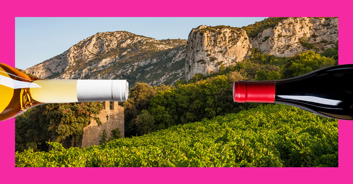 10 of the Best Red Wines From France’s Languedoc | VinePair
