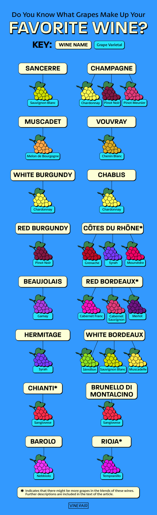 Which Grapes Make Up the World’s Most Well-Known Wines? An Illustrated ...