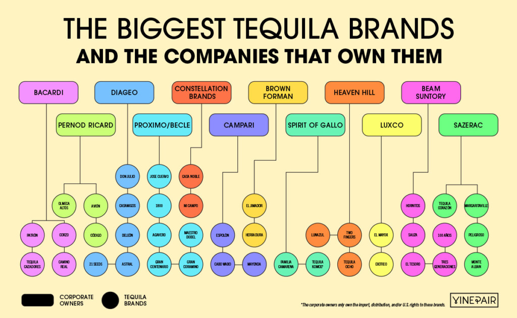 The Biggest Tequila Brands And The Companies That Own Them Infographic The Biggest Tequila Brands And The Companies That Own Them Infographic