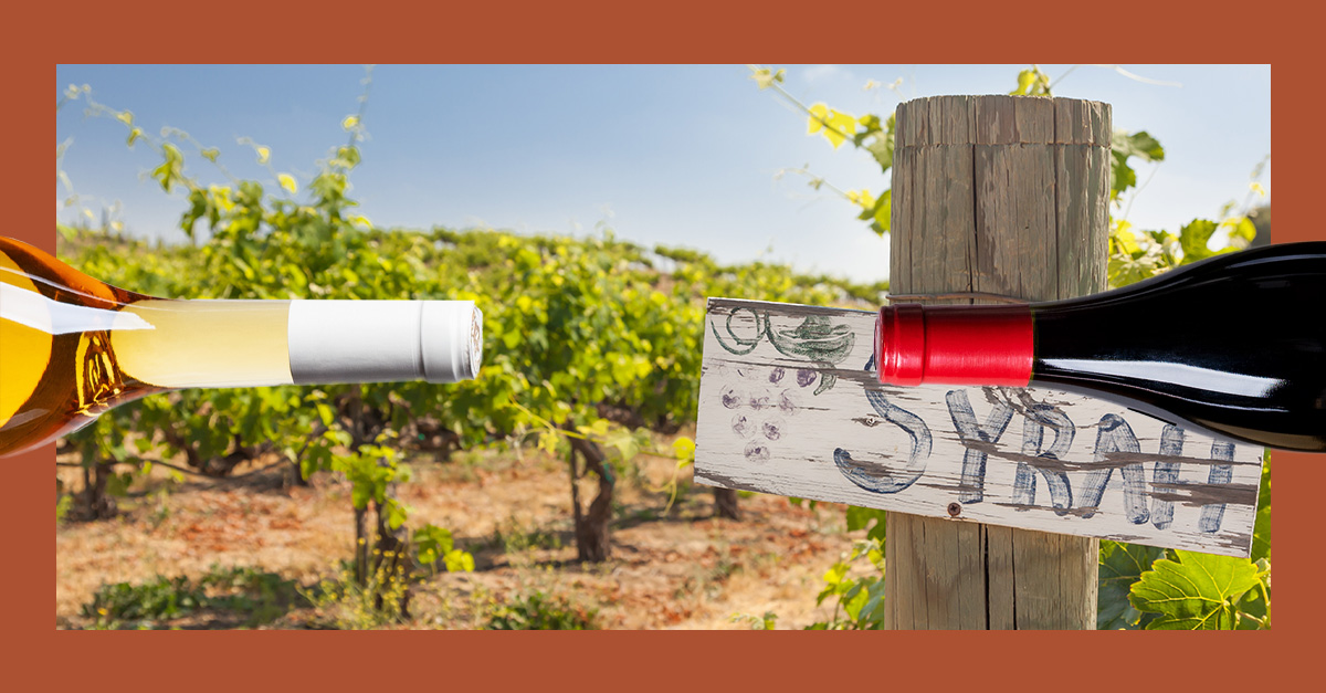 6 of the Best U.S. Syrahs From the East Coast | VinePair