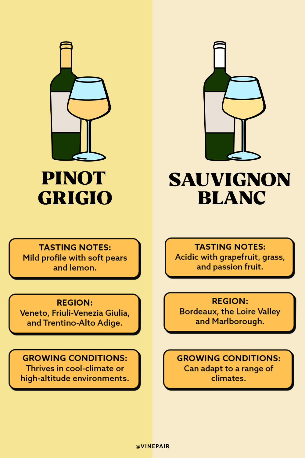 The Difference Between Sauvignon Blanc and Pinot Grigio, Explained ...