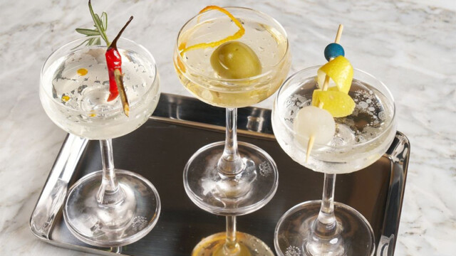 A Very Valid Case for the Teeny-Tiny Tini | VinePair