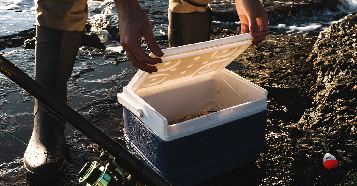 Why Do Hard Coolers Have Rulers on Their Lids? | VinePair
