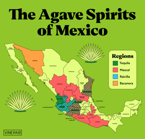 Mapping the Agave Spirits Regions of Mexico | VinePair