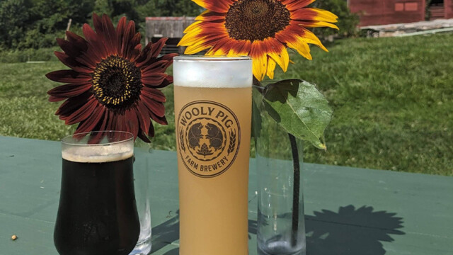 We Asked 11 Brewers: What's the Most Underrated Midwest Brewery? (2024 ...