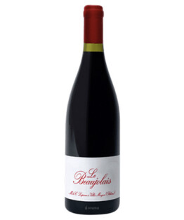 We Asked 14 Wine Pros: What’s the Best Red Wine for Beginners? | VinePair