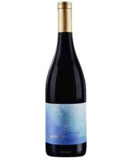 We Asked 14 Wine Pros: What’s the Best Red Wine for Beginners? | VinePair