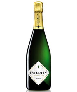 We Asked 7 Wine Pros: What’s the Best Cheap Champagne? | VinePair