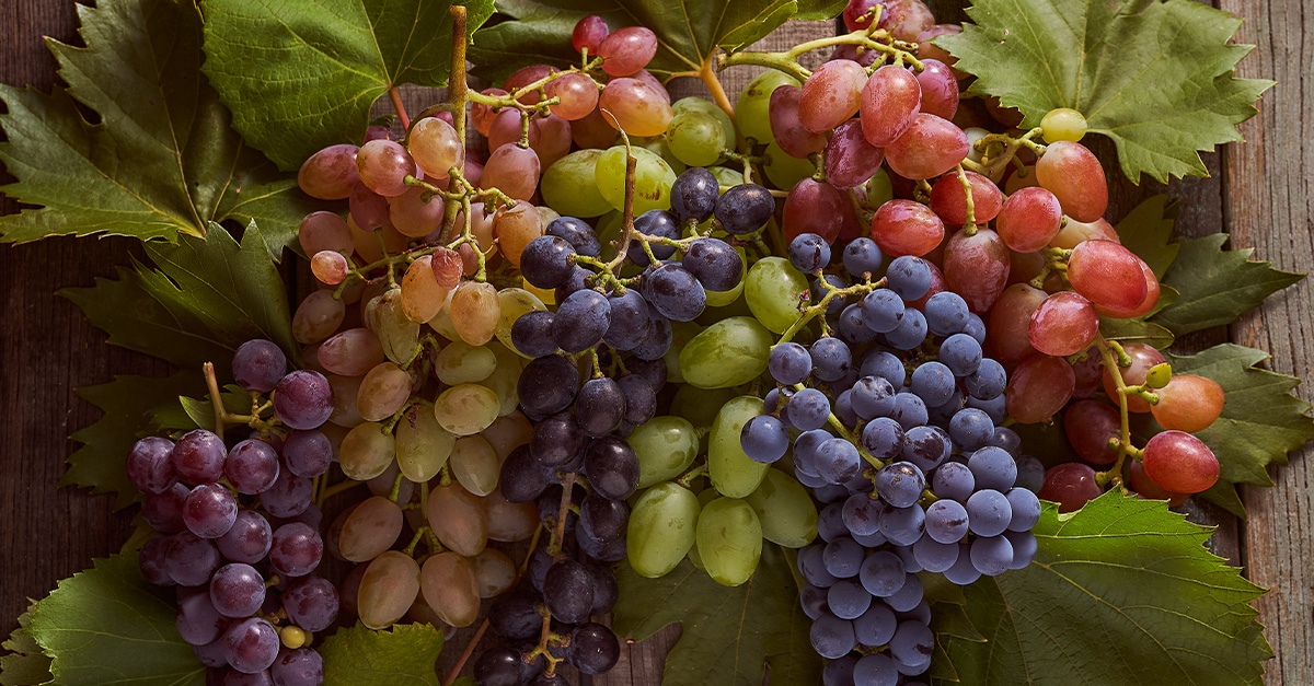 The Different Names for Popular Wine Grapes Around the World ...