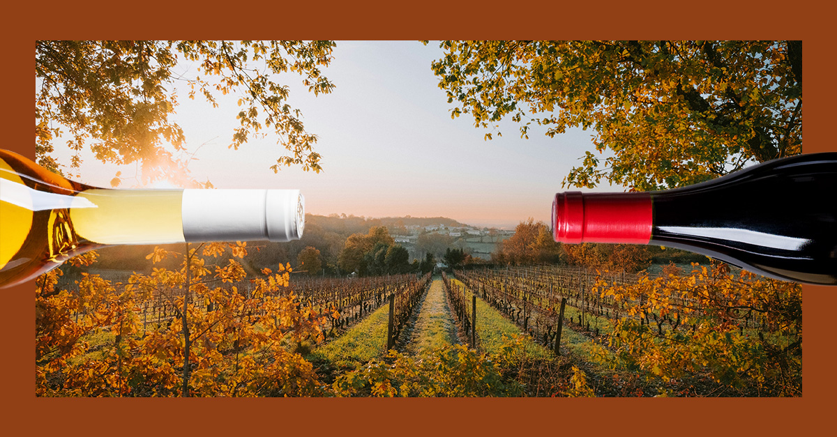 10 of the Best Red Bordeaux Wines Under $30 | VinePair