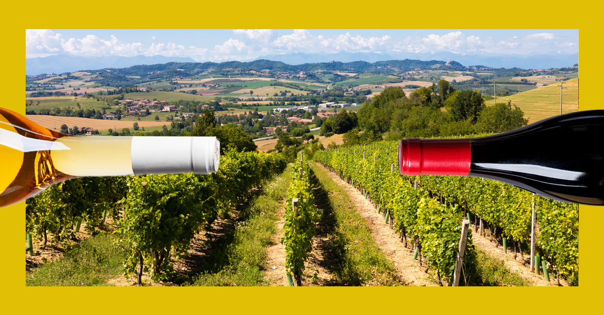 12 of the Best Barberas from Italy’s Piedmont | VinePair