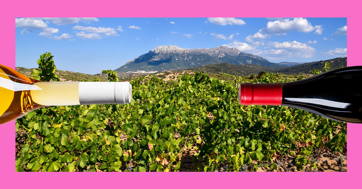 7 of the Best Red Wines From Sardinia | VinePair