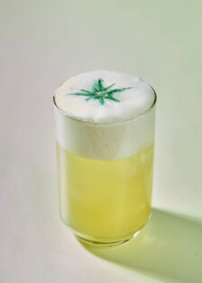 Where to Eat and Drink in Guadalajara Right Now | VinePair